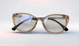 BCA - Optik Kustin - Special Privileges